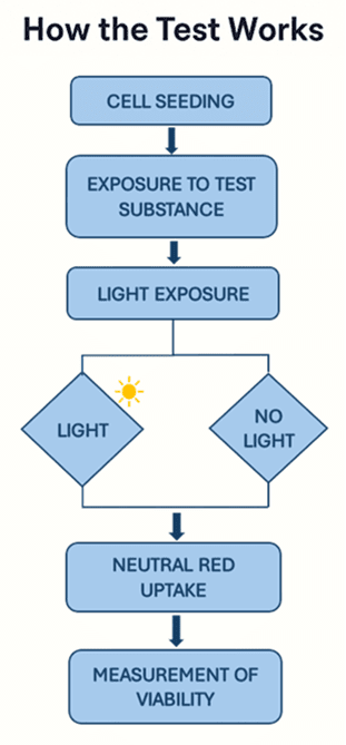 Understanding OECD 432: In Vitro 3T3 NRU Phototoxicity Test | MB ...