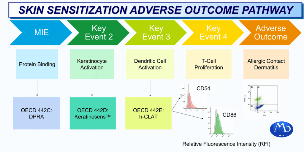 Understanding the HET-CAM Test: An Alternative Approach to Eye ...